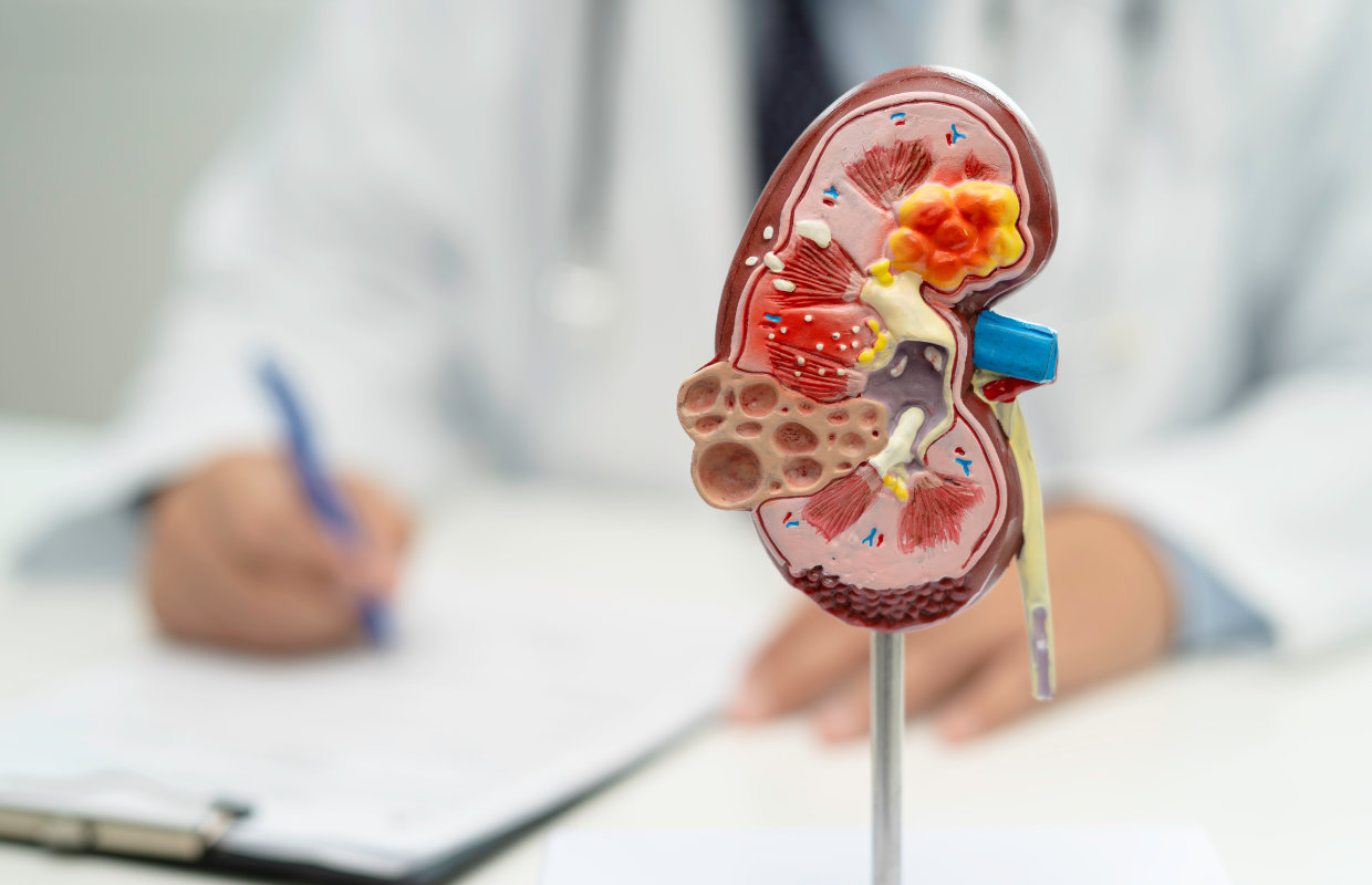 Urologe München Innenstadt – Urologie Praxis